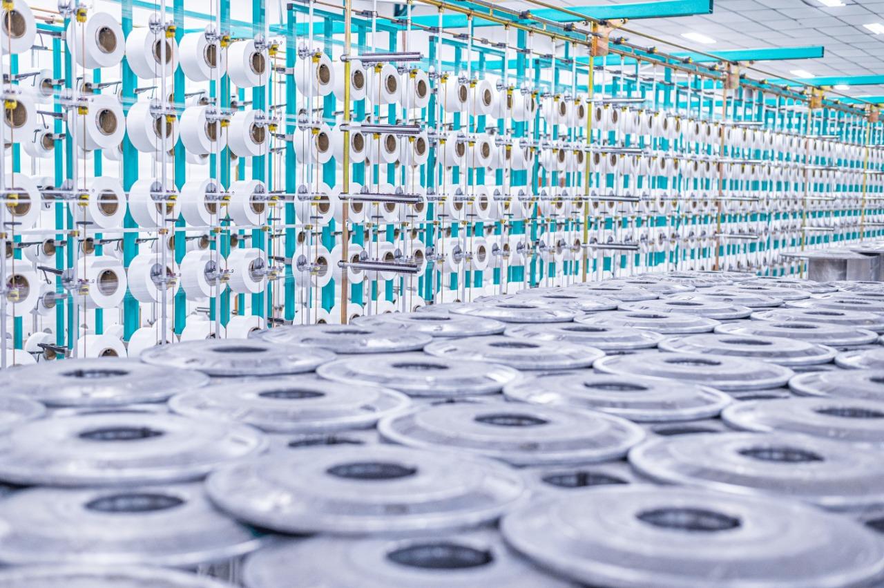 Our Process - Nemtex